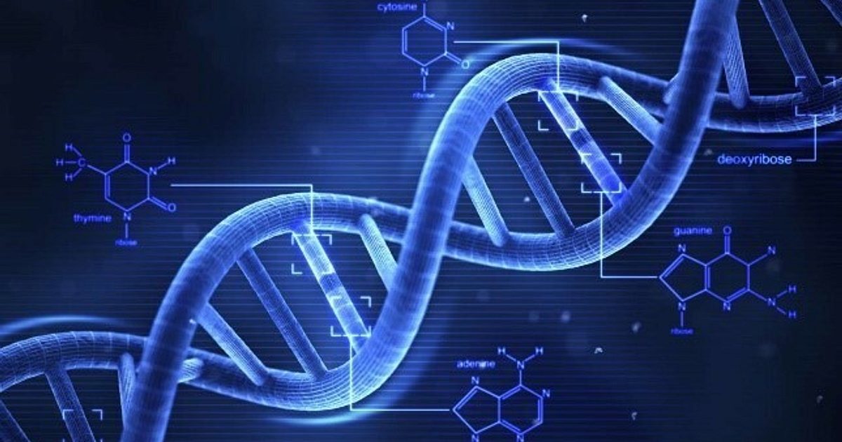 EEF blog: The DNA of Reading Comprehension: Knowledge, Skills,… | EEF