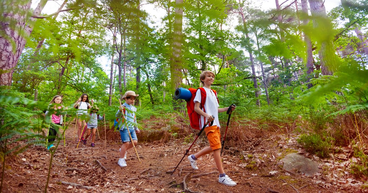 New EEF trial: can adventure learning improve students' skills,… | EEF